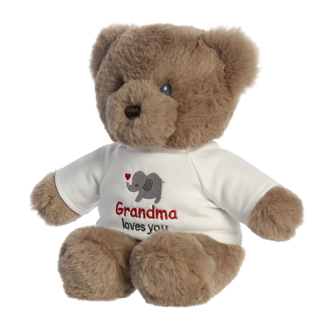 Personalized Bear, Custom Teddy, Gift for Baby, Plush Toy, Embroidered ...