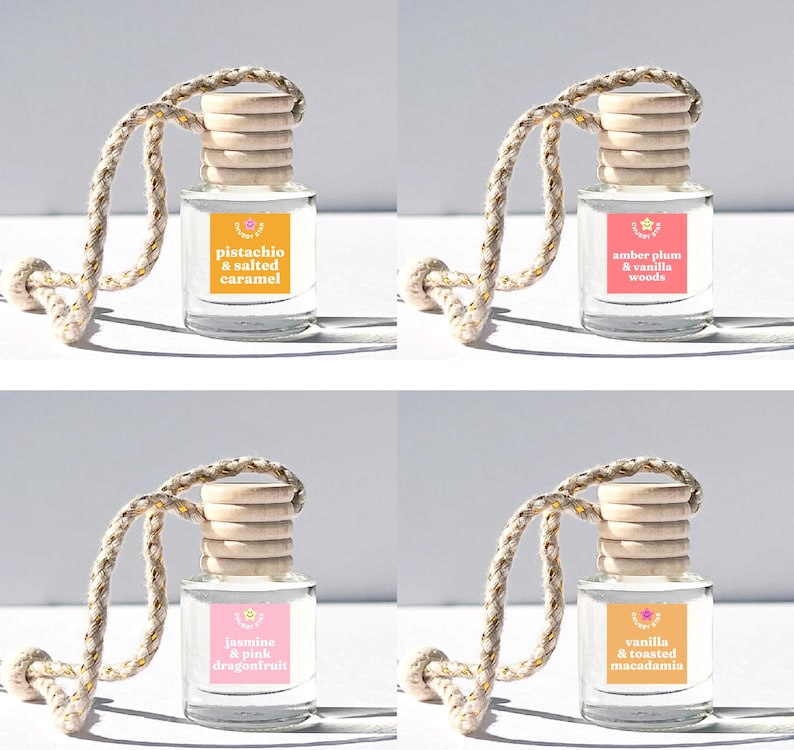 Scented Car Freshener Hanging Car Freshener Diffusers New Car Gift ...