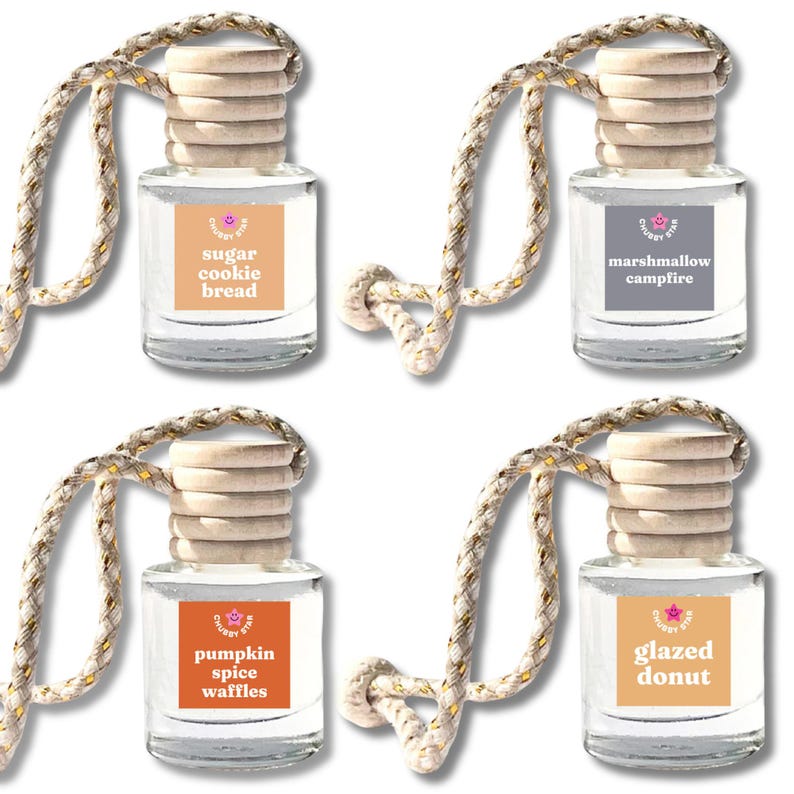 Scented Car Freshener Hanging Car Freshener Diffusers New Car Gift ...