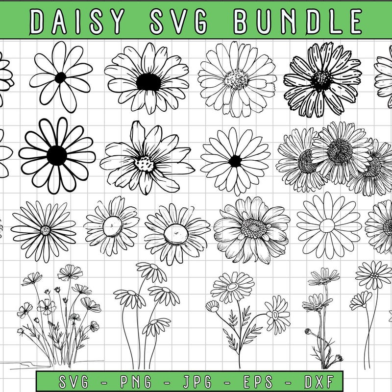 Daisy Svg - Etsy