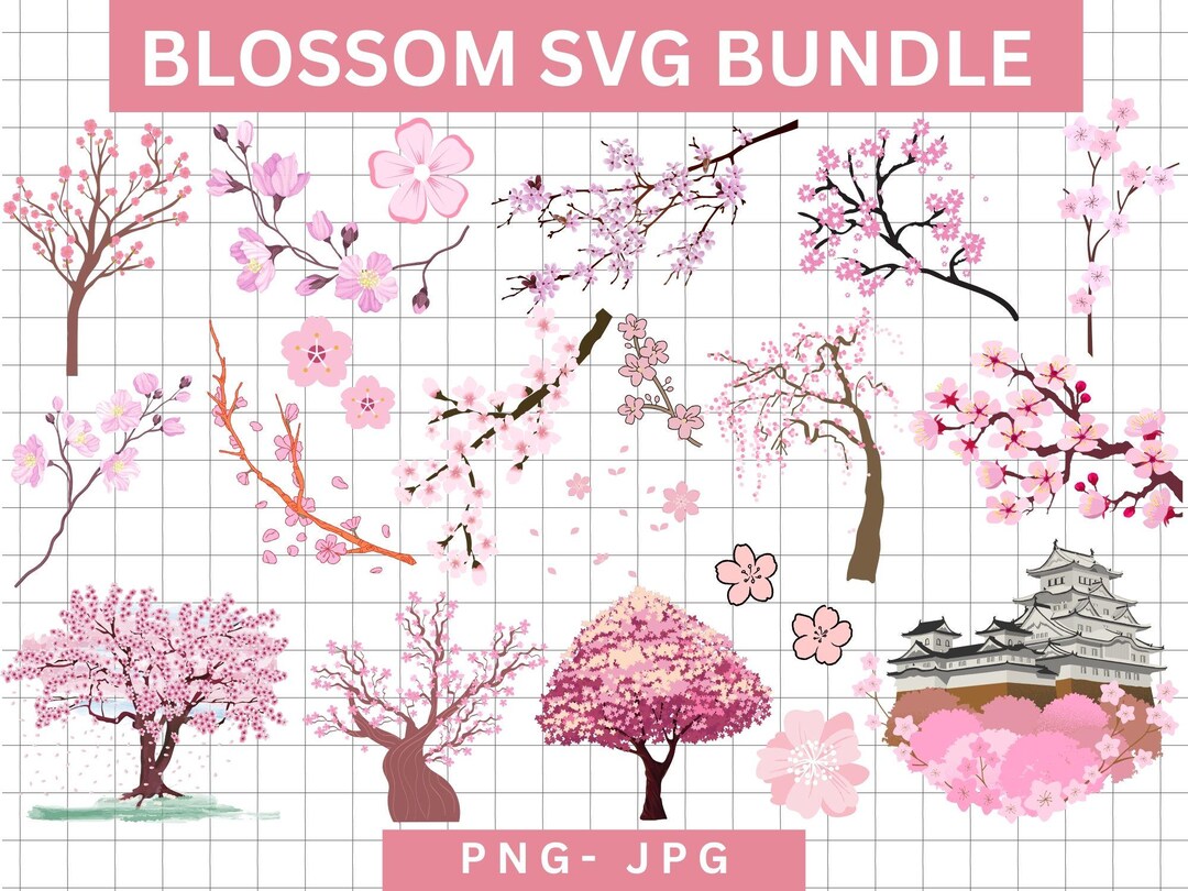 Watercolor Cherry Blossom Clipart, Spring Floral PNG JPG (digital ...
