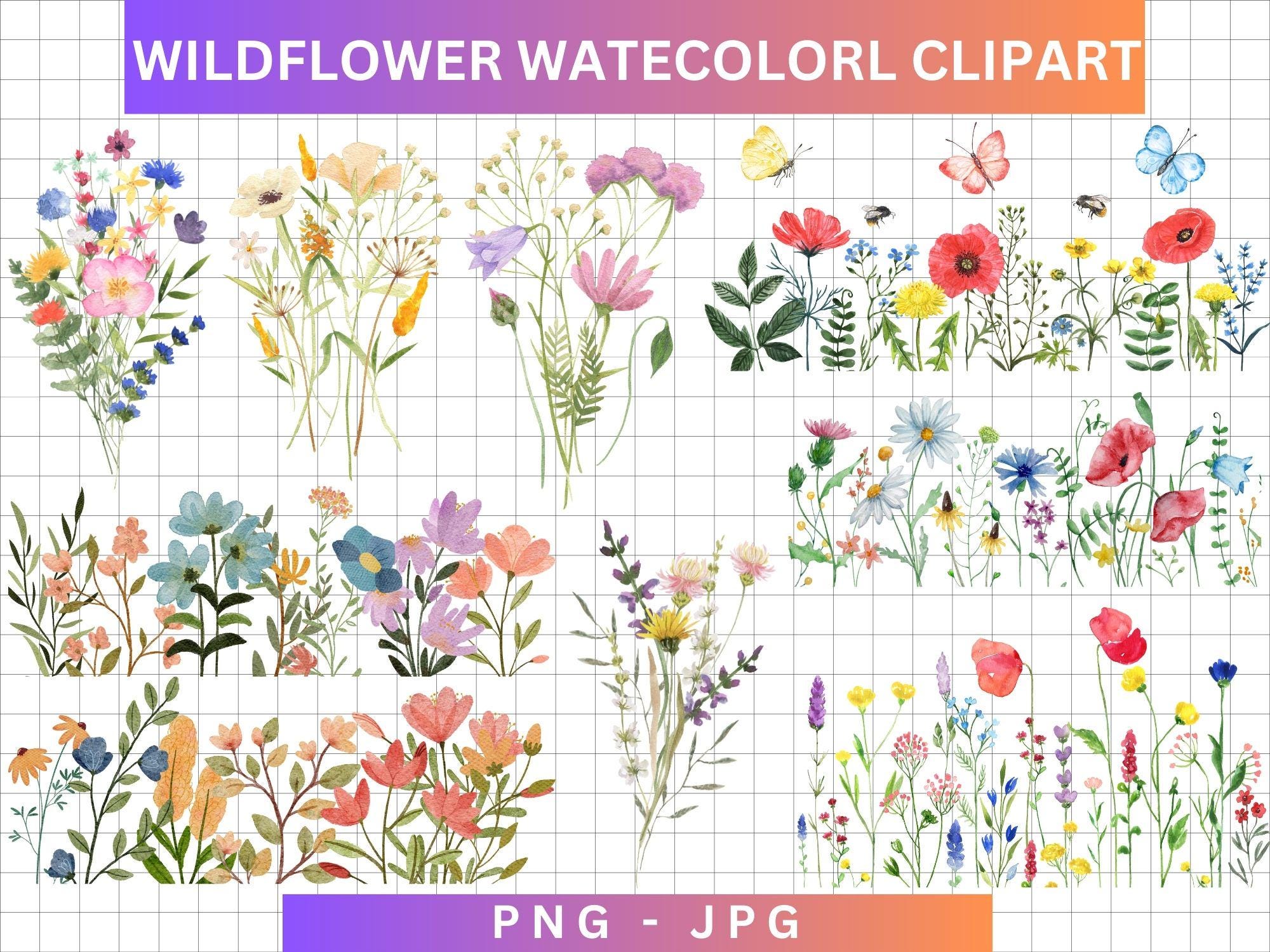 Wildflowers Clipart,watercolor Wildflower Clipart,watercolor Summer ...