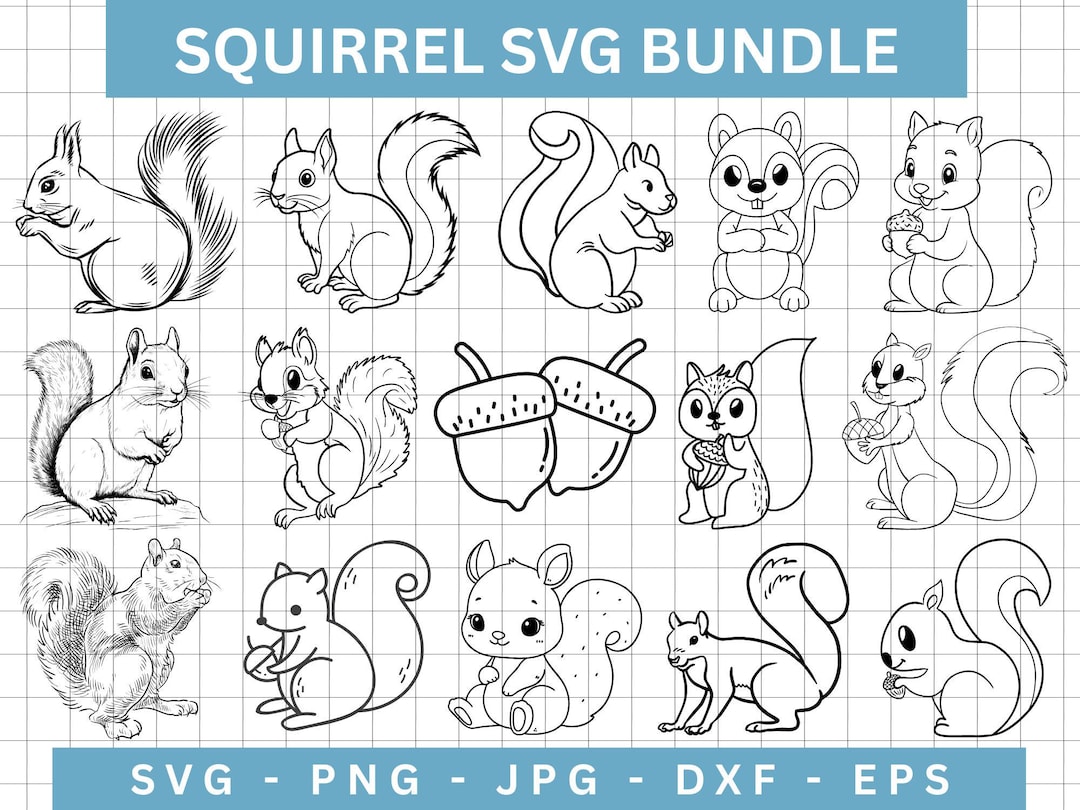 Squirrel SVG Bundle, Cricut Cut Files (digital Download) - Etsy