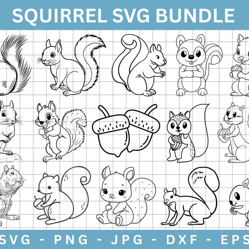 Squirrel Svg - Etsy