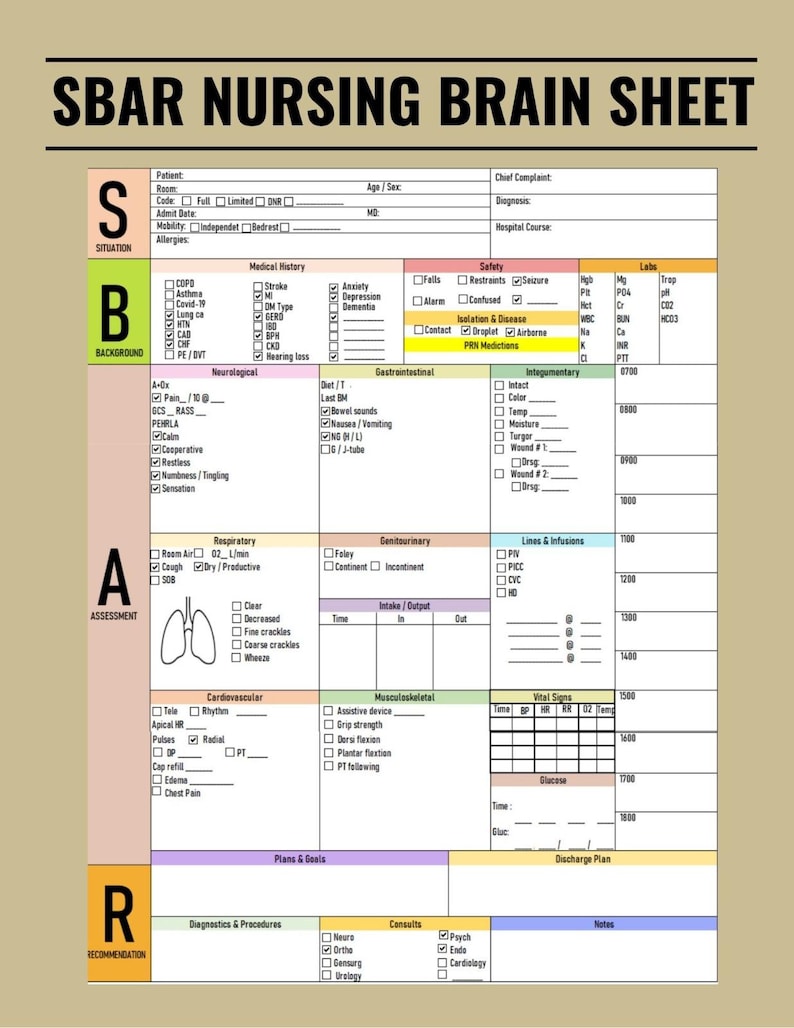 SBAR Nursing Brain Sheet - Etsy