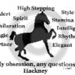 Hackney Horse Pony Hand Painted Christmas Ornament (glass) Ball Bulb ...