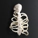 Crocheted Skull, Spine and Rib Cage - Etsy