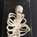Crocheted Skull, Spine and Rib Cage - Etsy