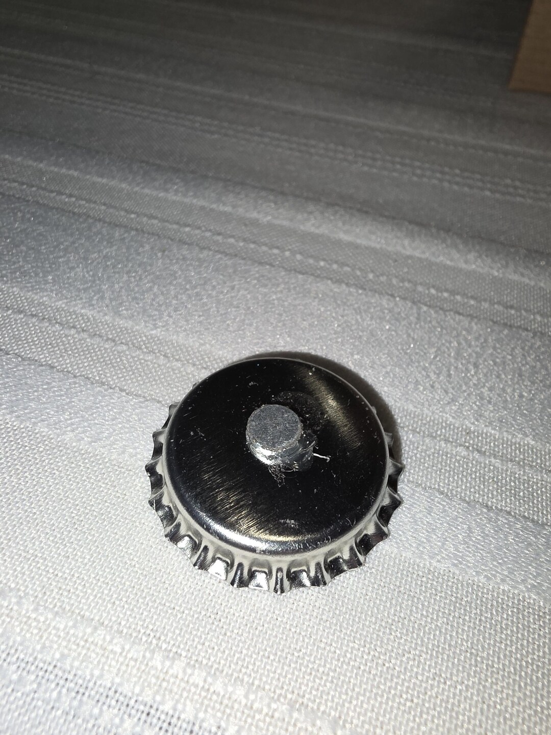 Manatee With Bikini Cap Bottle Cap Art Magnet - Etsy