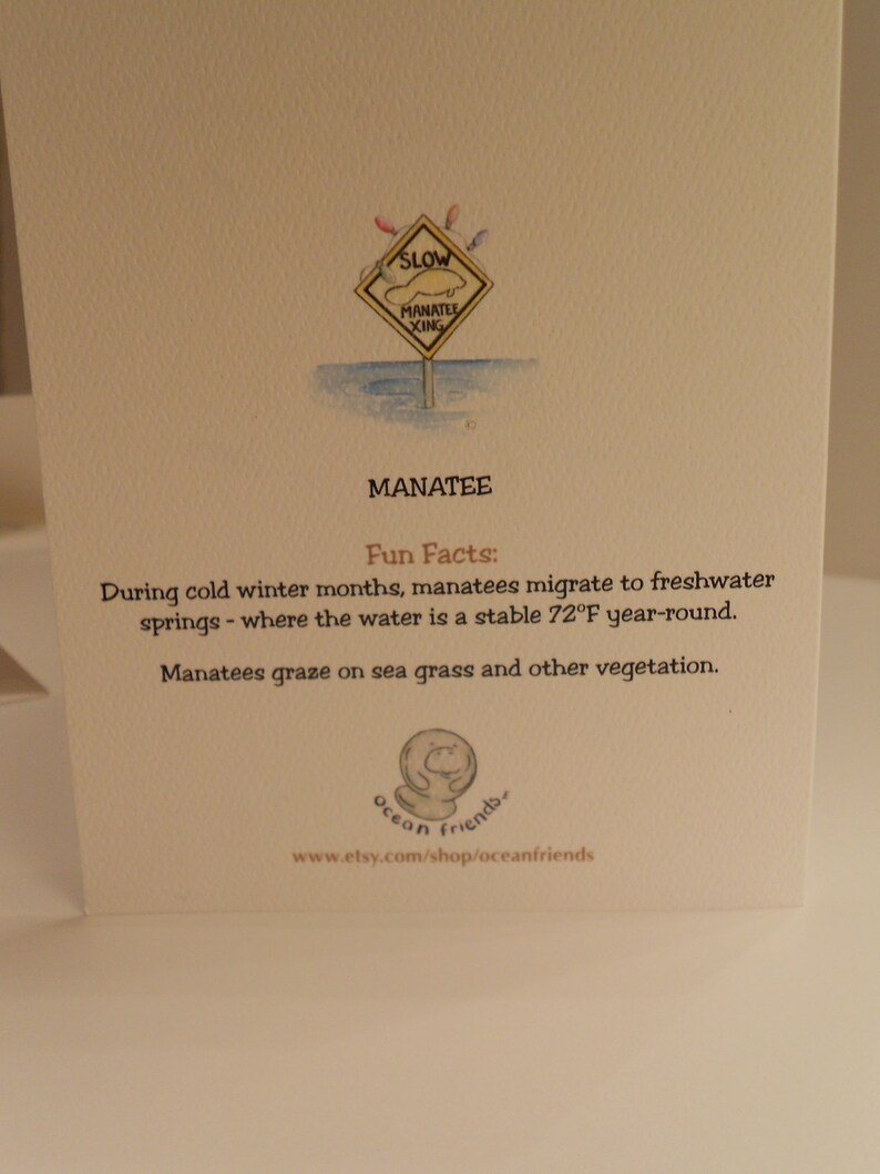 Manatees Crossing Christmas Greeting Card Merry Christmas 5 X 7 - Etsy