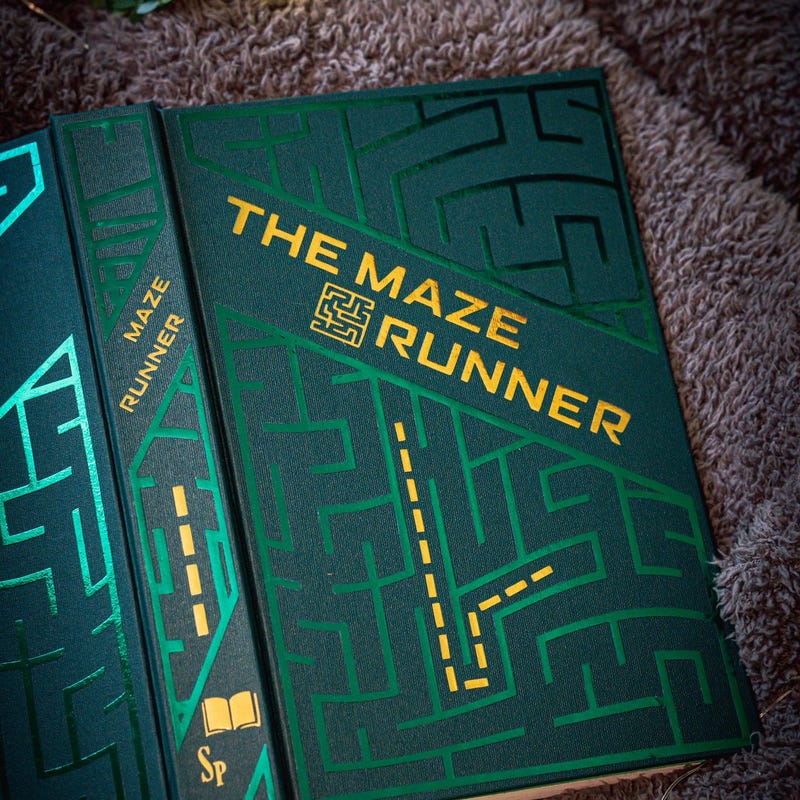 The Maze Runner - Etsy