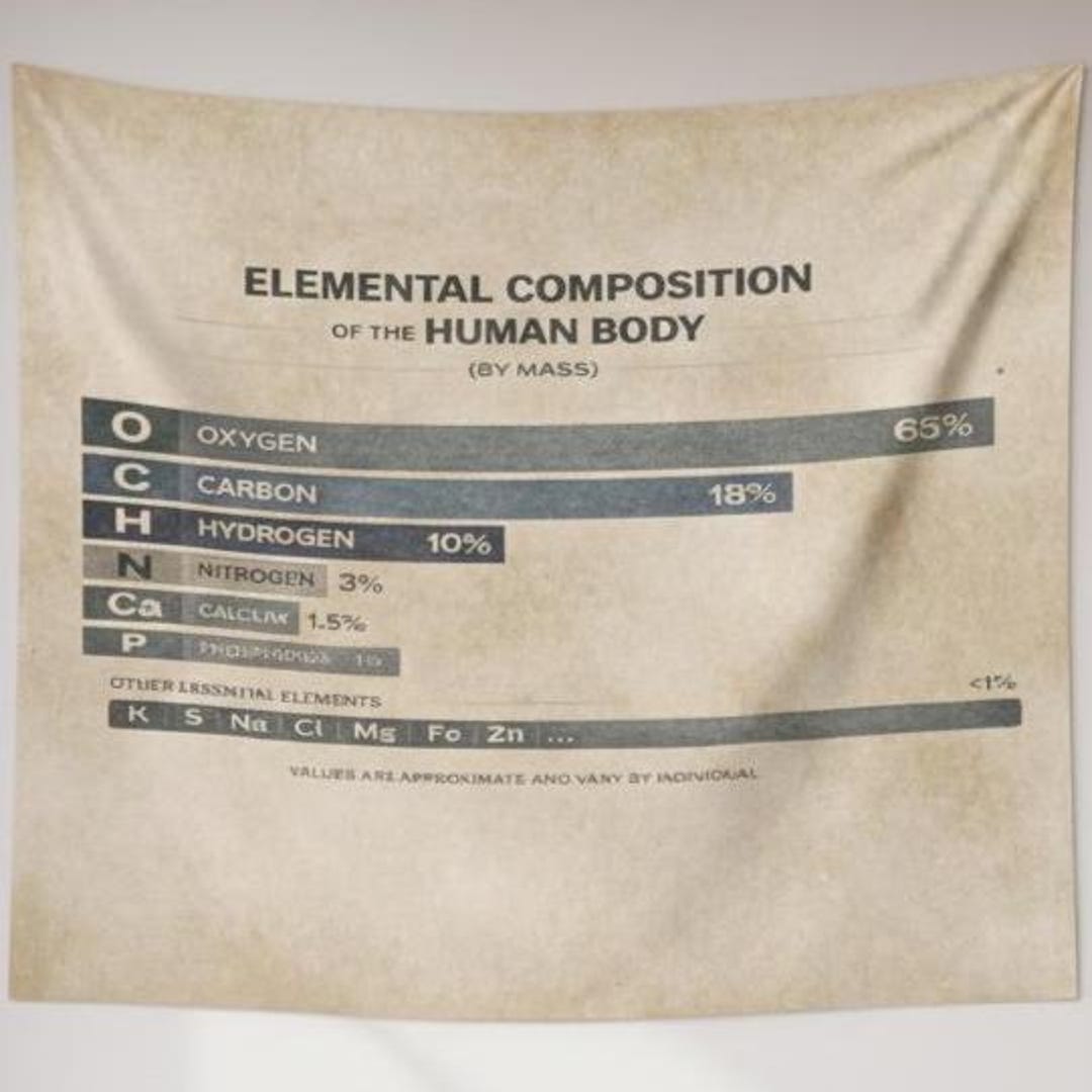 Elemental Composition of the Human Body Tapestry Science Poster Biology ...