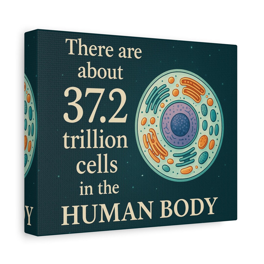 Human Body Science Canvas Art, Educational Wall Decor, Biology Gift ...