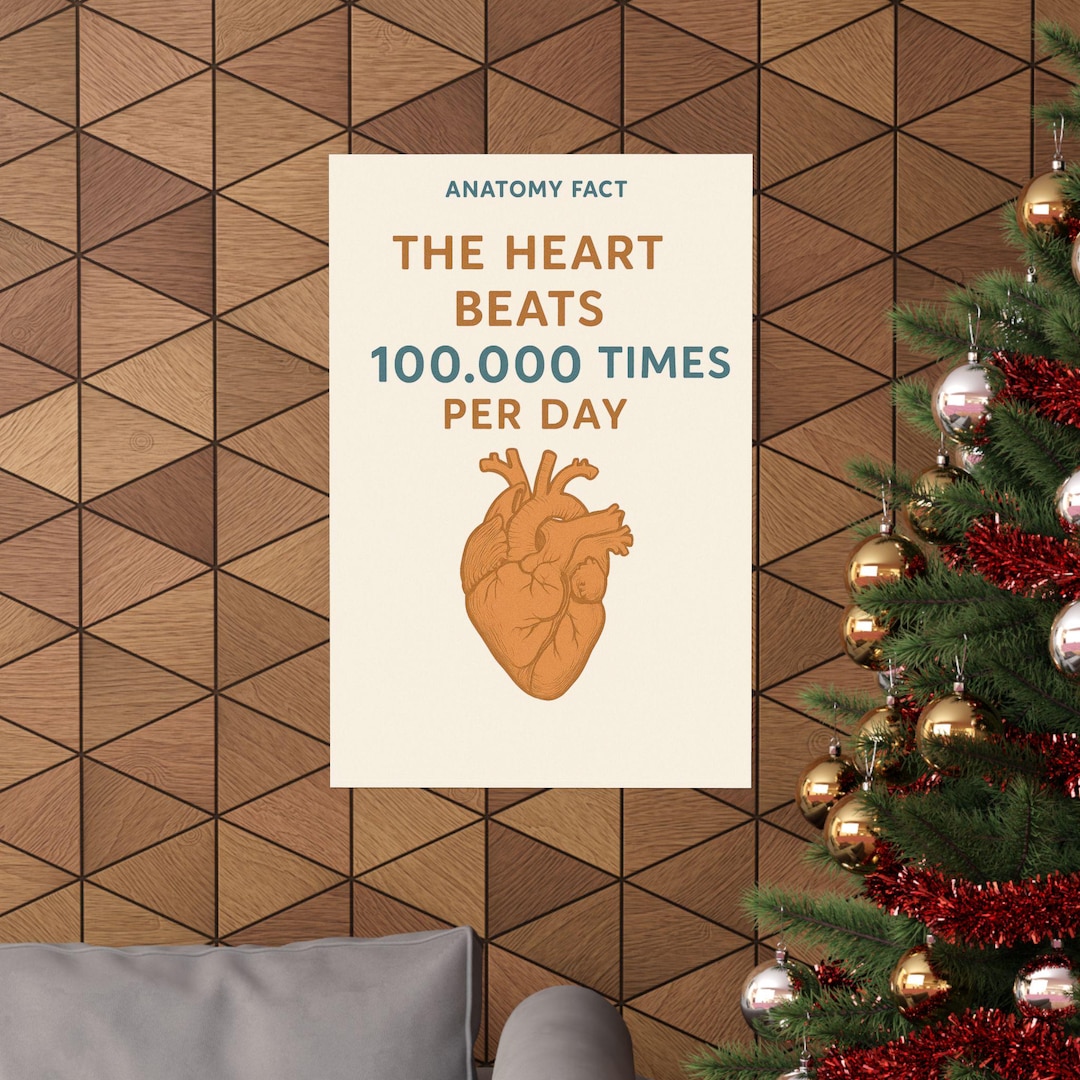 Heart Beats Poster Matte Vertical Heartbeat Line Art Minimalist Medical ...