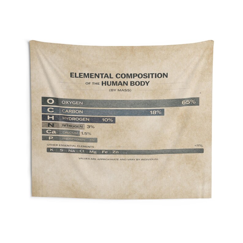 Elemental Composition of the Human Body Tapestry Science Poster Biology ...