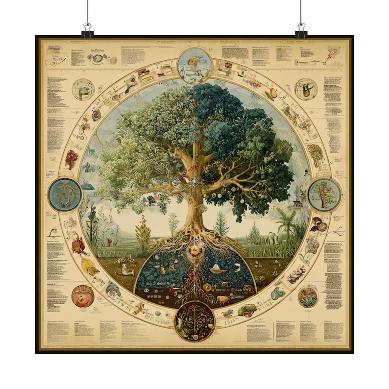 Tree of Life Science Art Poster Vintage Botanical Diagram Matte ...