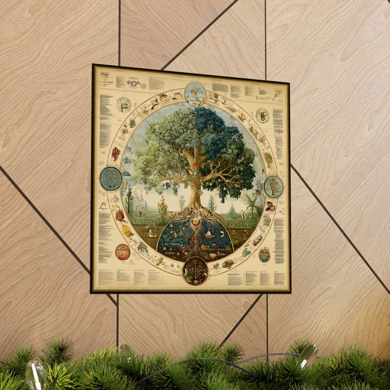 Tree of Life Science Art Poster Vintage Botanical Diagram Matte ...