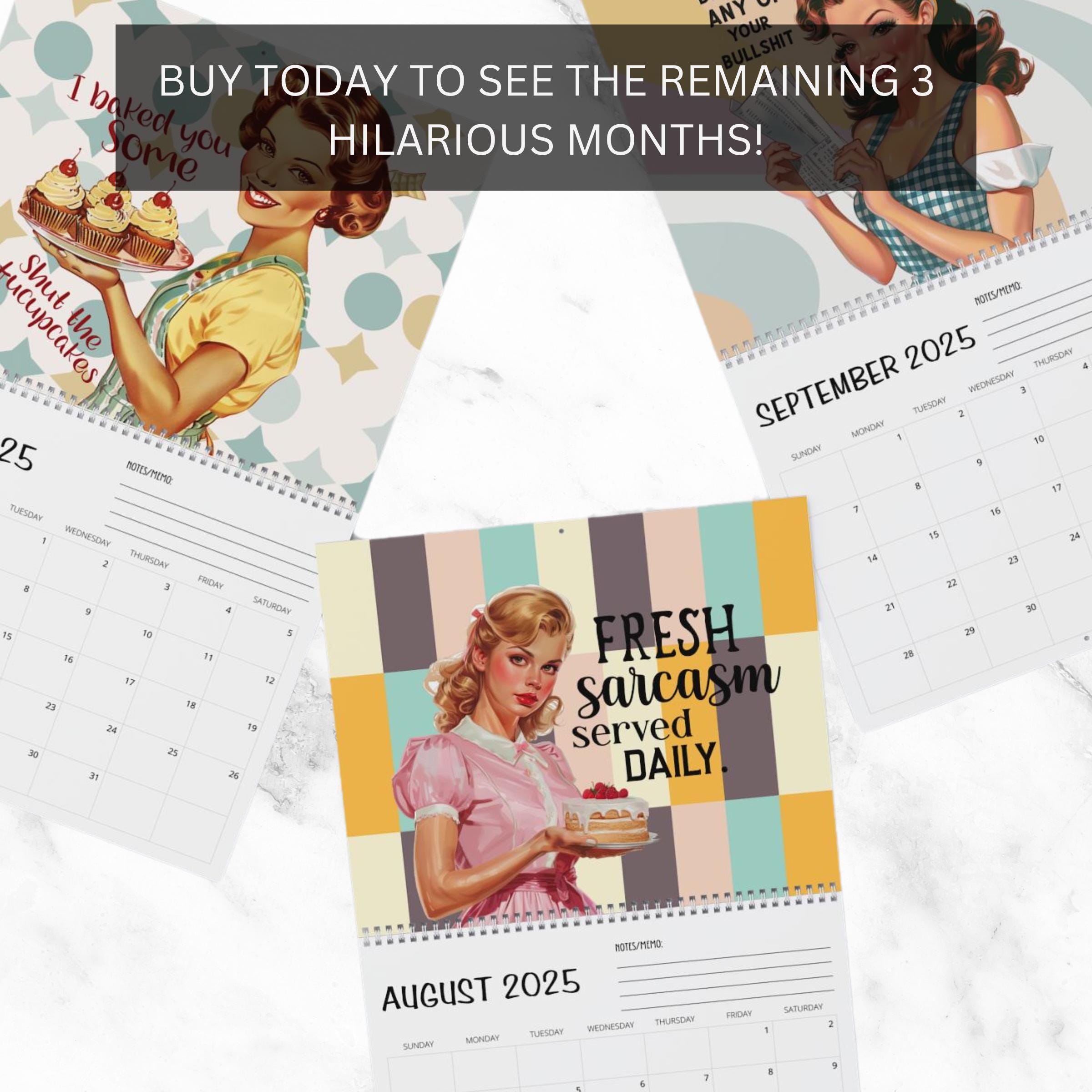 2025 Retro and Unhinged Wall Calendar, Swearing Retro Calendar, Funny ...