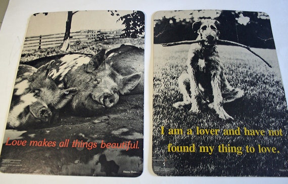 Funny Vintage Signs Old Photographs Cardboard Signs 11 X 14 - Etsy