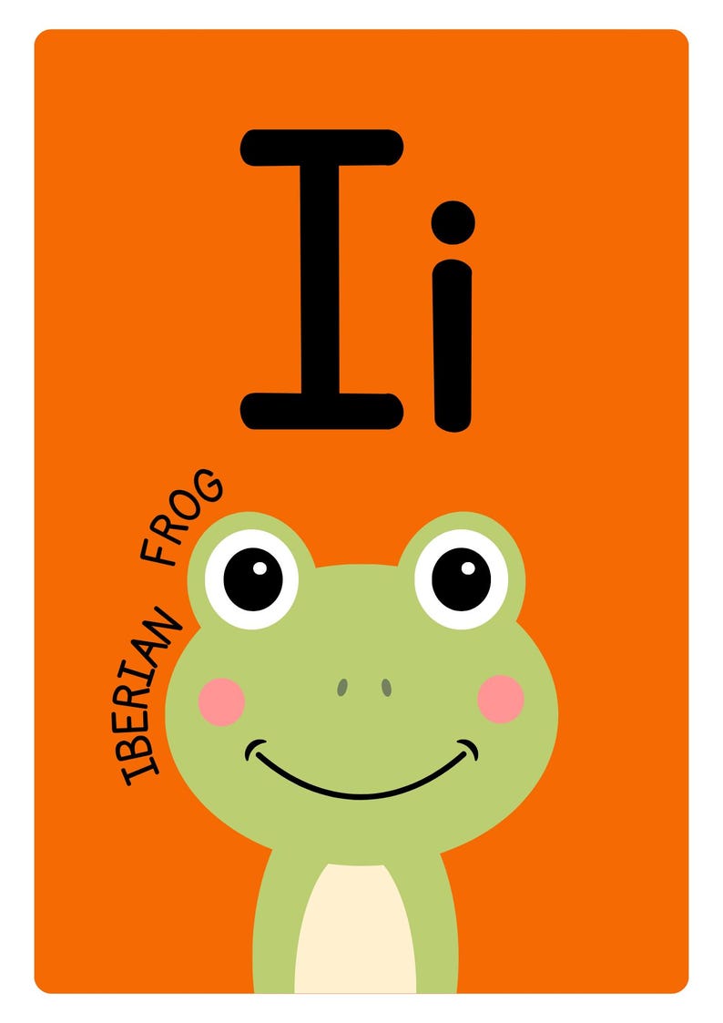 Alphabet Flashcards With Cute Animals - Etsy