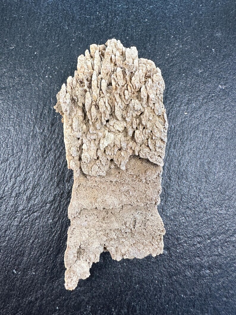 Thinolite Tufa ~ Pseudomorph Calcite After Ikaite Aka Glendonite ~ Rare ...