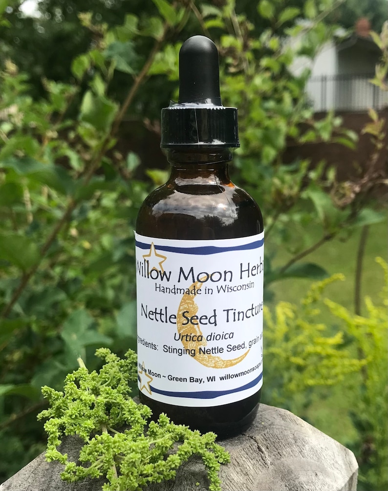 Nettle Seed Tincture urticaria Dioica Premium Quality - Etsy