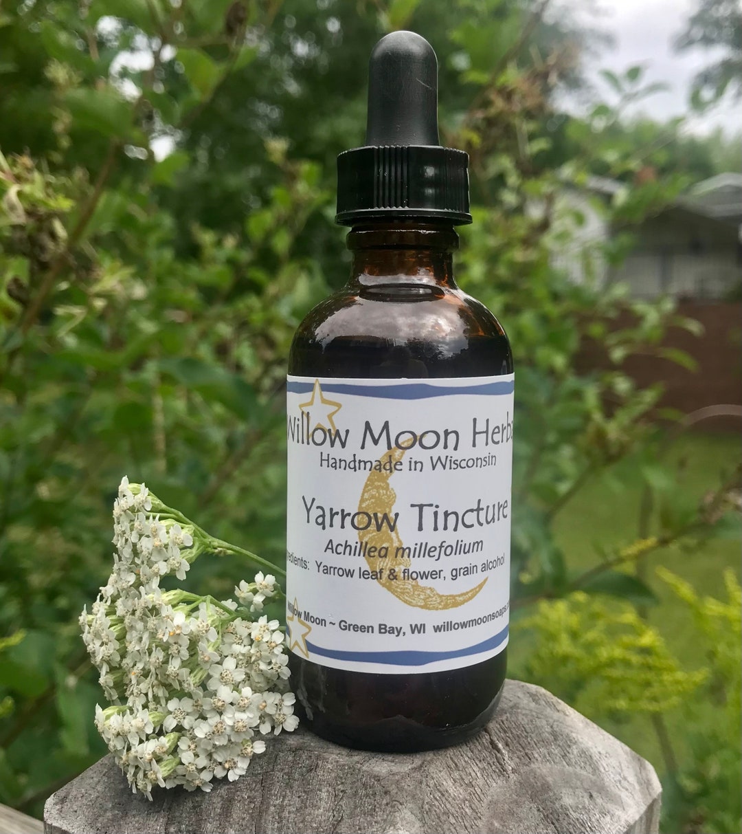 Yarrow Tincture achillea Millefolium Premium Quality Tincture, Liquid ...