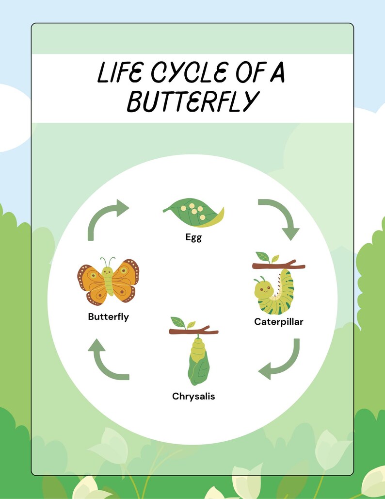 Bugs & Life Science Worksheets for Toddlers | Printable Preschool ...