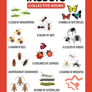 Bugs & Life Science Worksheets for Toddlers | Printable Preschool ...