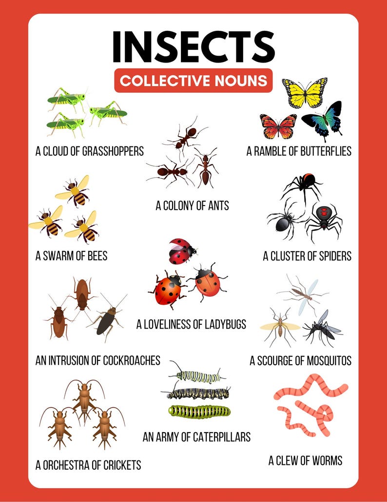 Bugs & Life Science Worksheets for Toddlers | Printable Preschool ...