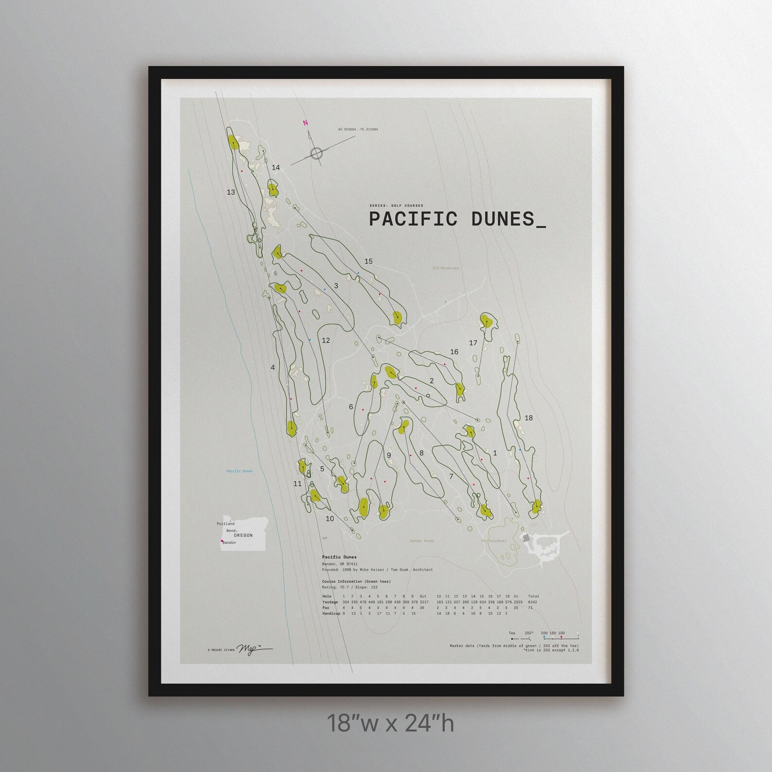 Pacific Dunes (LIMITED) - Infographic Course Illustration - Etsy