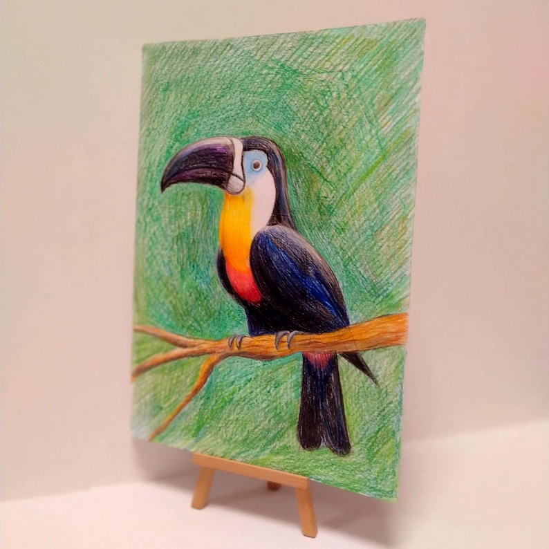 Toucan Drawing Colored Pencils Tropical Bird Bright Toucan for ...