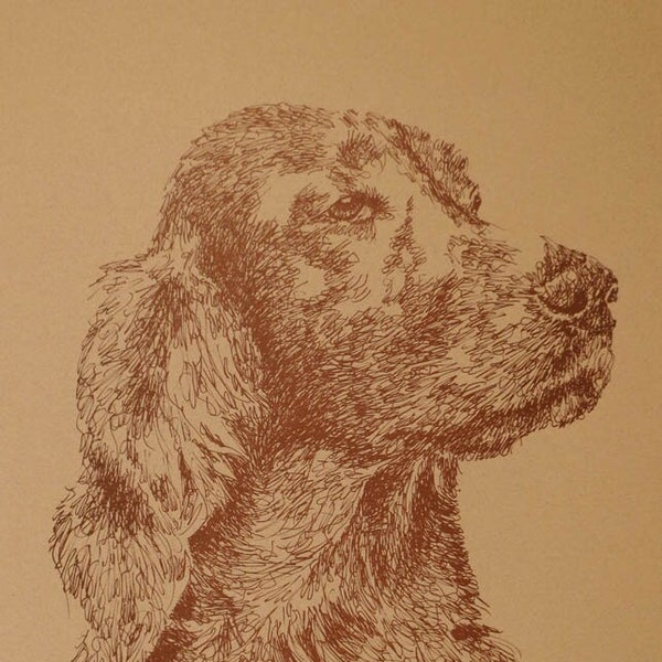 Irish Setter Drawing - Etsy