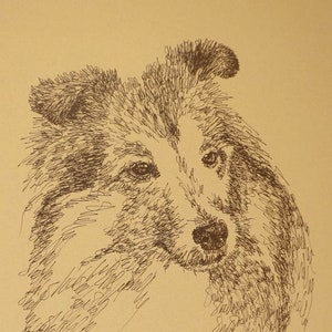 Shetland Sheepdog Sheltie Dog Art Portrait Drawing From Words. Dog's ...