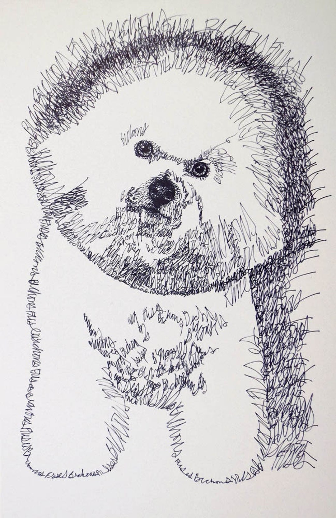 Bichon Frise Dog Art Portrait Drawing From Words. Your Dog's Name Added ...