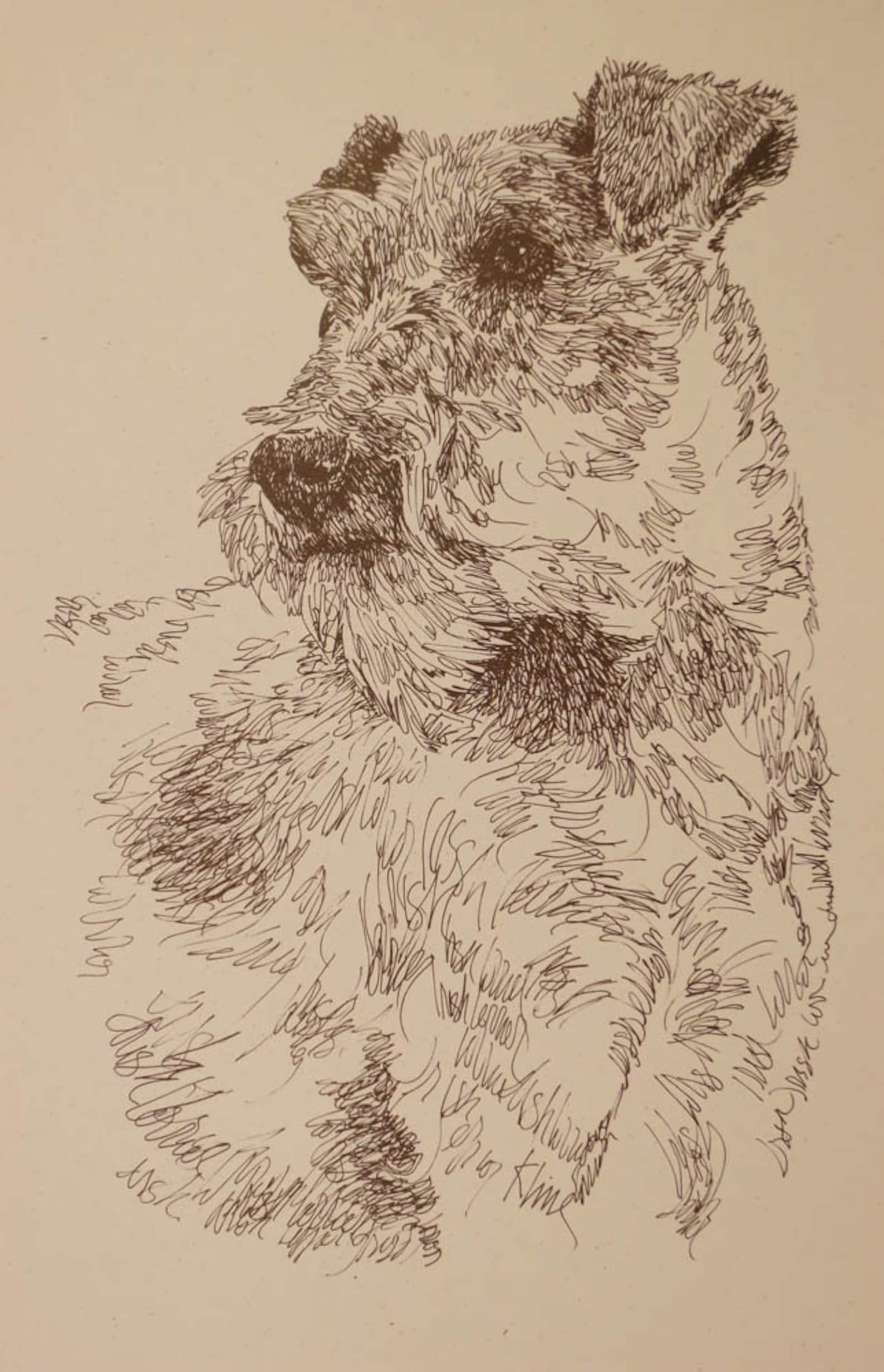 Irish Setter Dog Art Portrait Drawing From Words. Your - Etsy