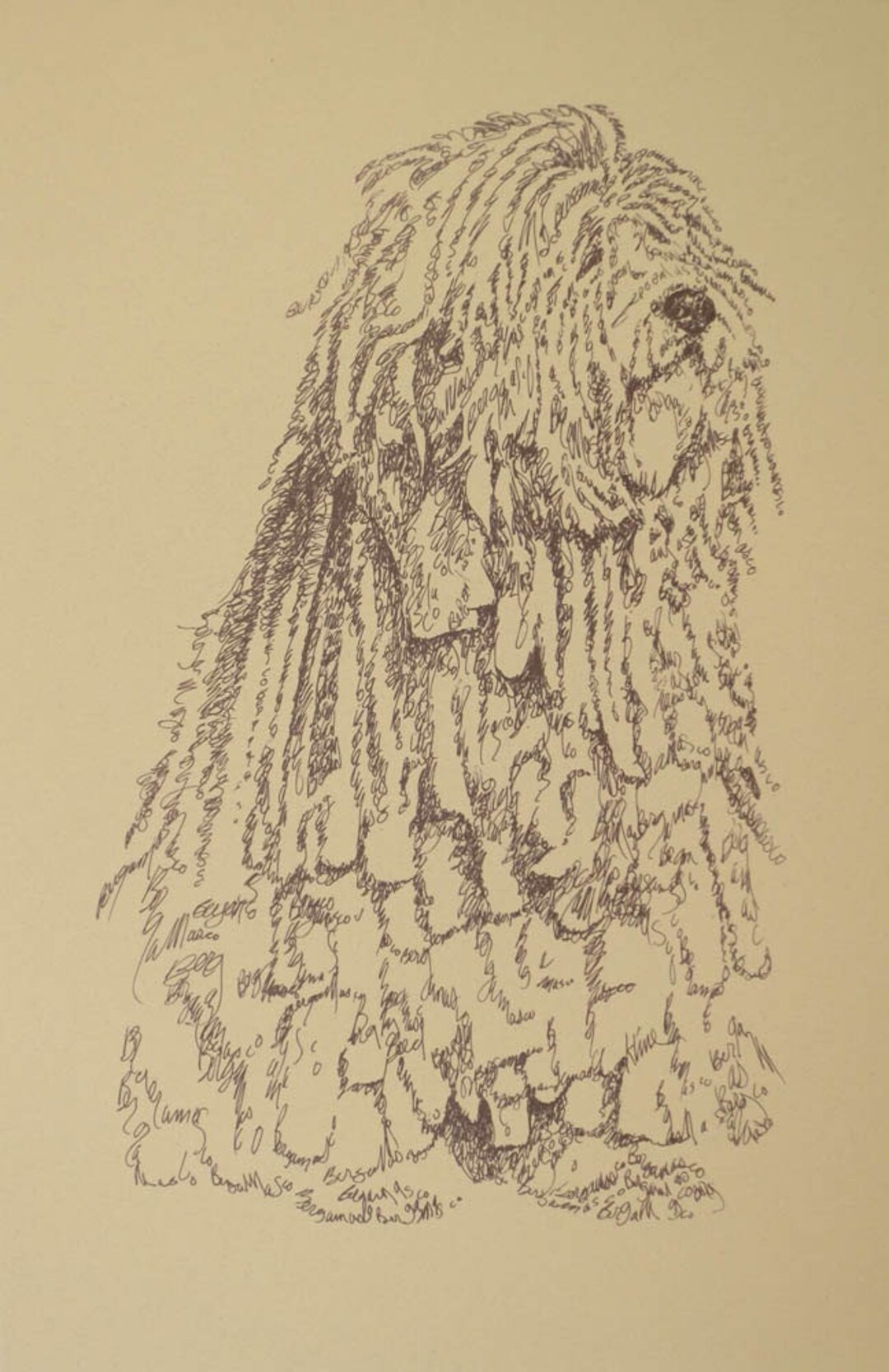 Bergamasco Sheepdog - Artist Kline Draws Dog Art Using Only Words ...