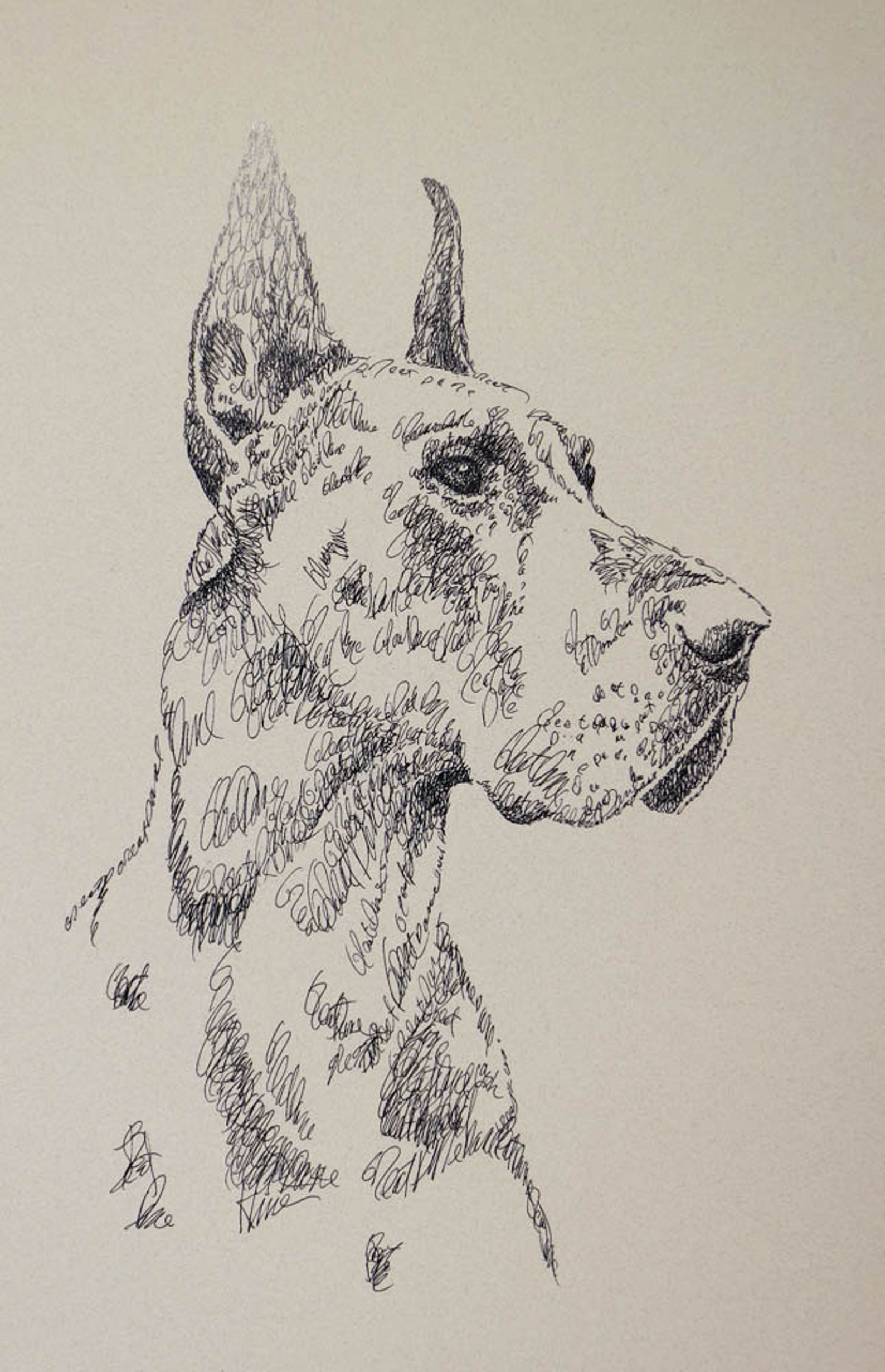 Great Dane - Artist Kline Draws Dog Art Using Only Words. Signed 11x17 ...