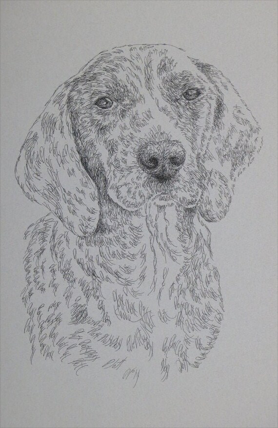 Plott Hound Dog Art Portrait Drawing From Words. Your - Etsy