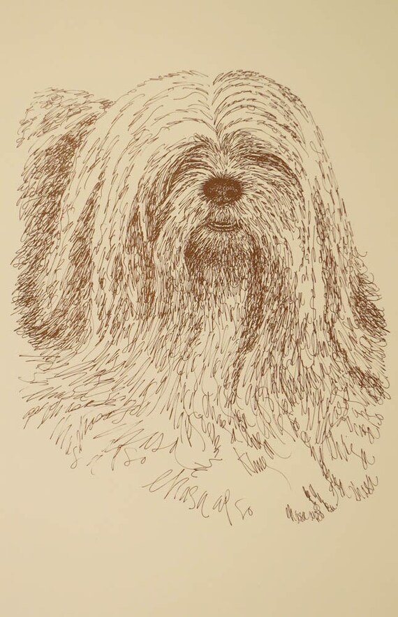 Lhasa Apso Dog Art Portrait Drawing From Words. Your Dog's - Etsy