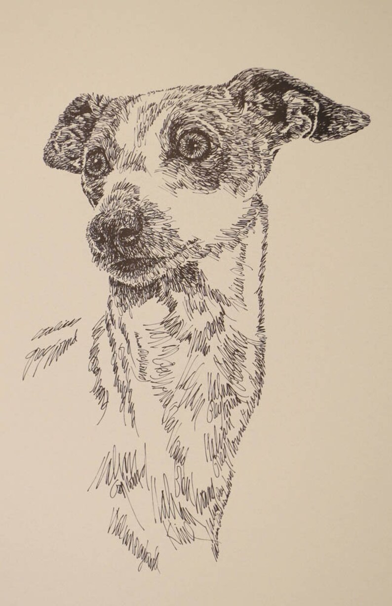 Clumber Spaniel Dog Art Portrait Drawing From Words. Your Dog's Name ...