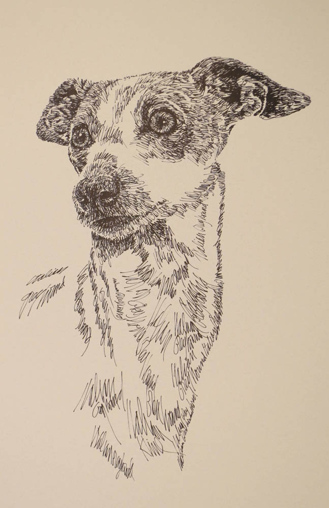 Saluki Dog Art Portrait Drawing From Words. Your Dog's - Etsy
