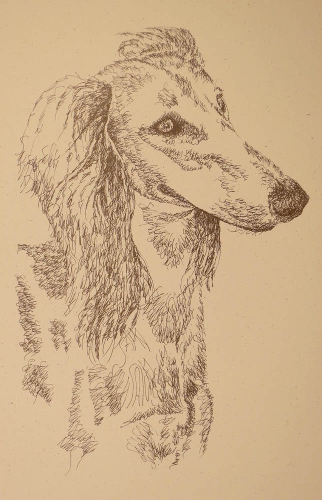 Saluki Dog Art Portrait Drawing From Words. Your Dog's Name Added Into ...