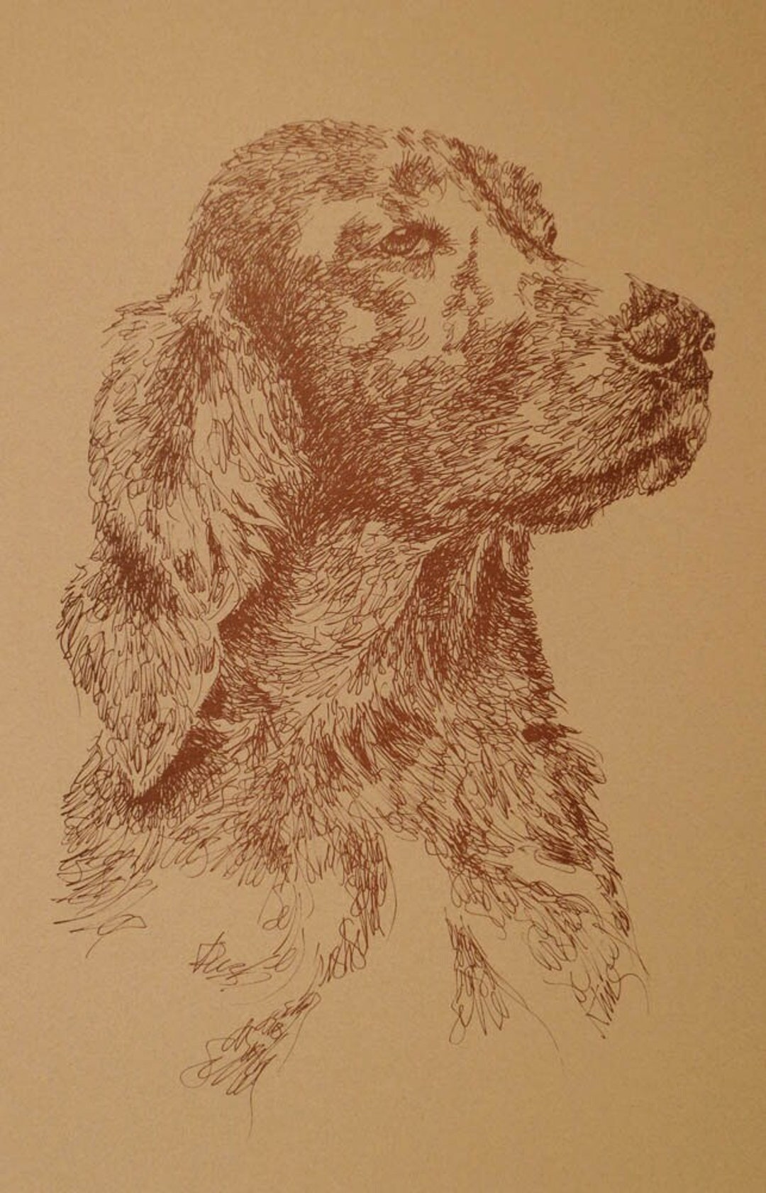 Irish Setter Dog Art Portrait Drawing From Words. Your Dog's Name Added ...