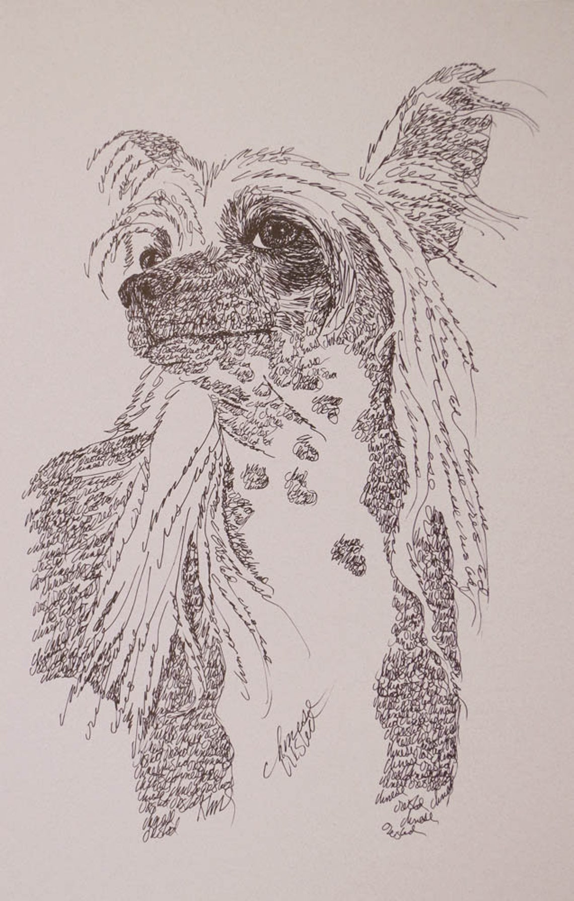 Saluki Dog Art Portrait Drawing From Words. Your Dog's - Etsy