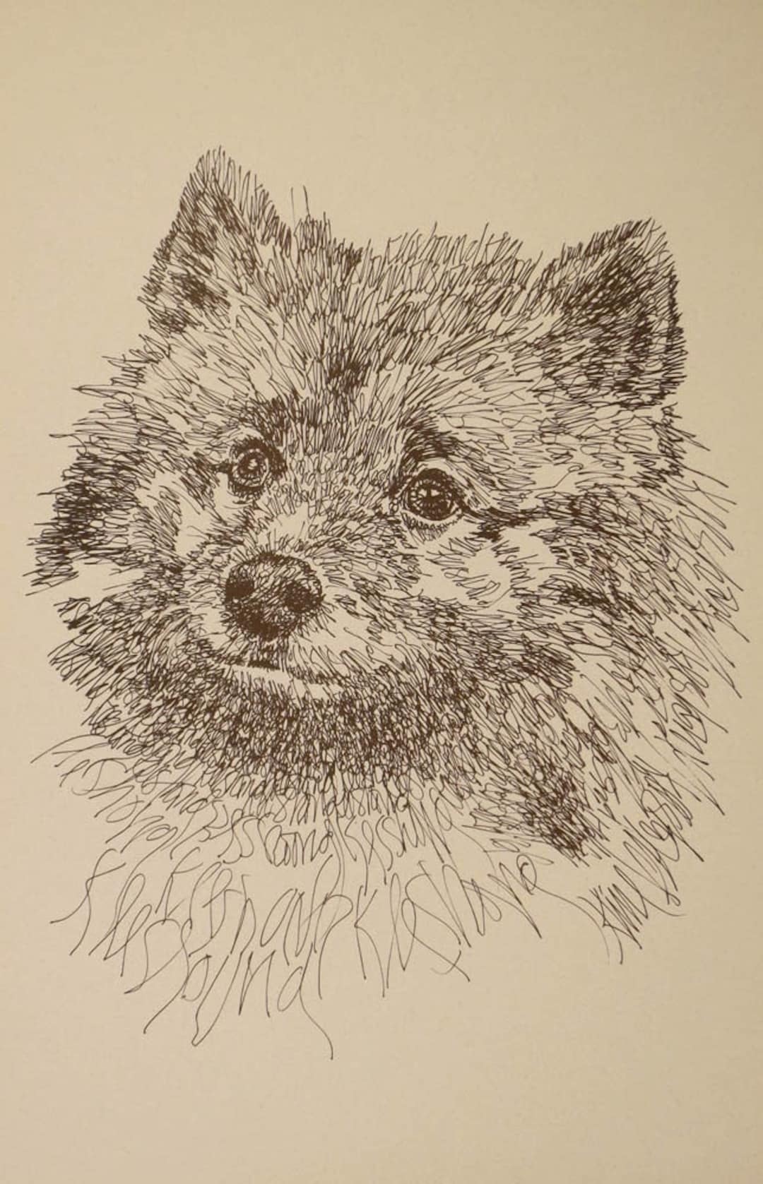 Keeshond Dog Art Portrait Drawing From Words. Your Dog's Name Added ...
