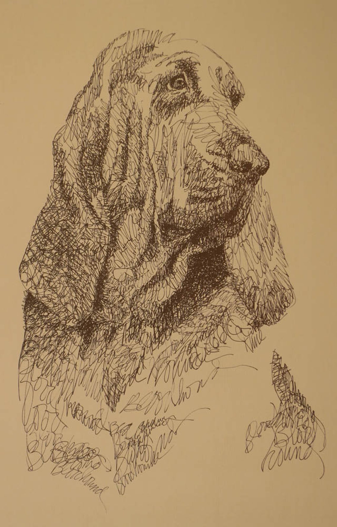 Saluki Dog Art Portrait Drawing From Words. Your Dog's - Etsy