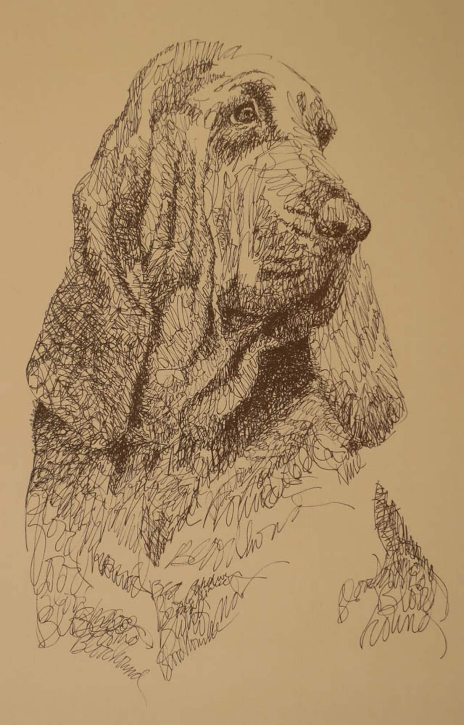 Saluki Dog Art Portrait Drawing From Words. Your Dog's - Etsy