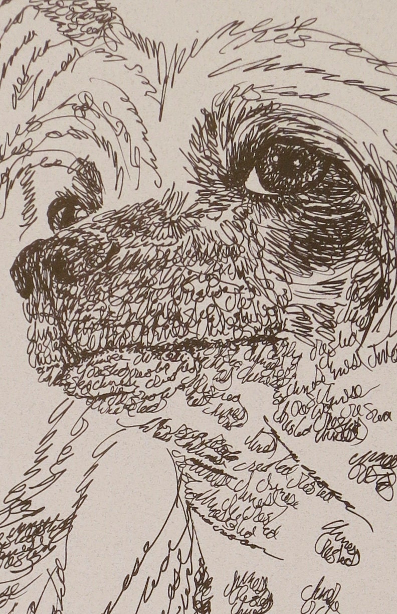 Chinese Crested Dog Art Portrait Drawing From Words. Your Dog's Name ...