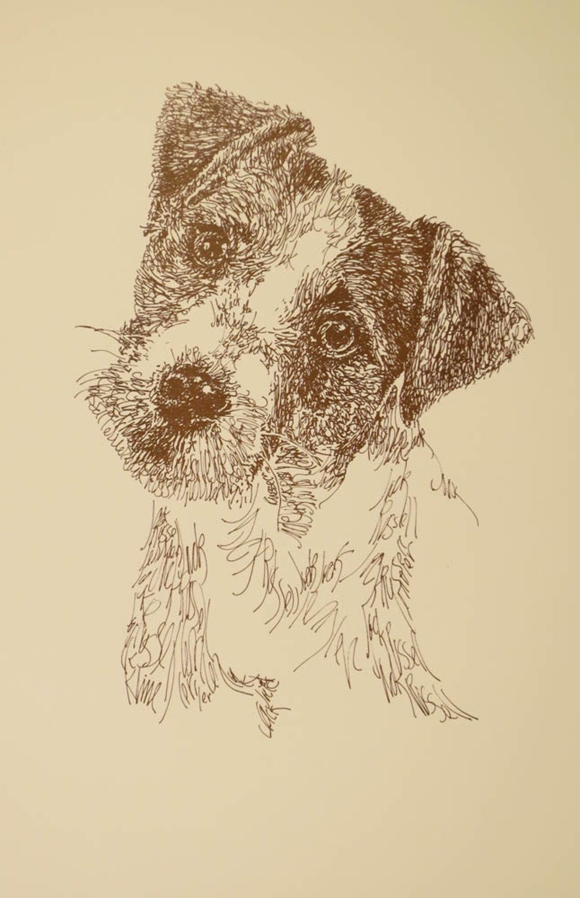 Jack Russell Terrier Rough Artist Kline Draws Dog Art Using - Etsy